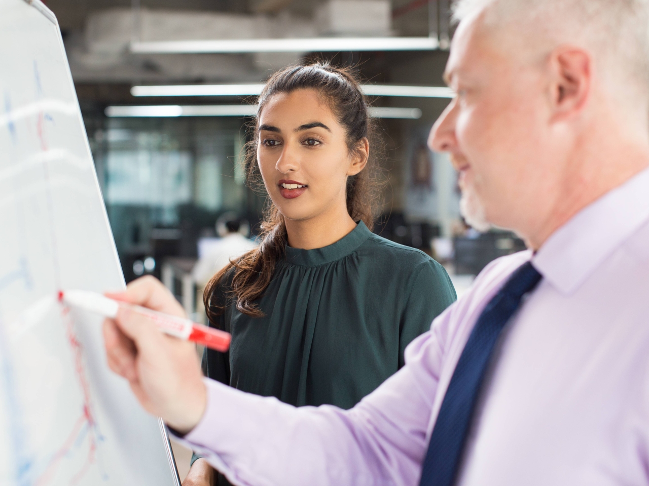 Senior Experten Service (SES)