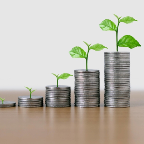 E-Learning: Certificat d'Expert en Finance Verte (CEFV-FR)