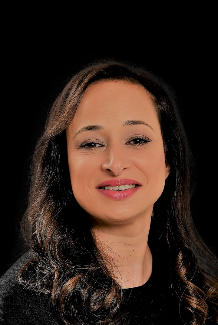 Le Comité Directeur de l'AHK Maroc